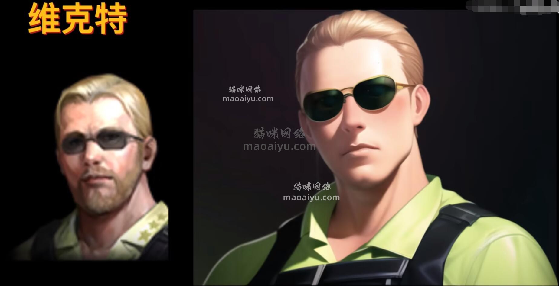 CSOL手机壁纸-猫咪网络